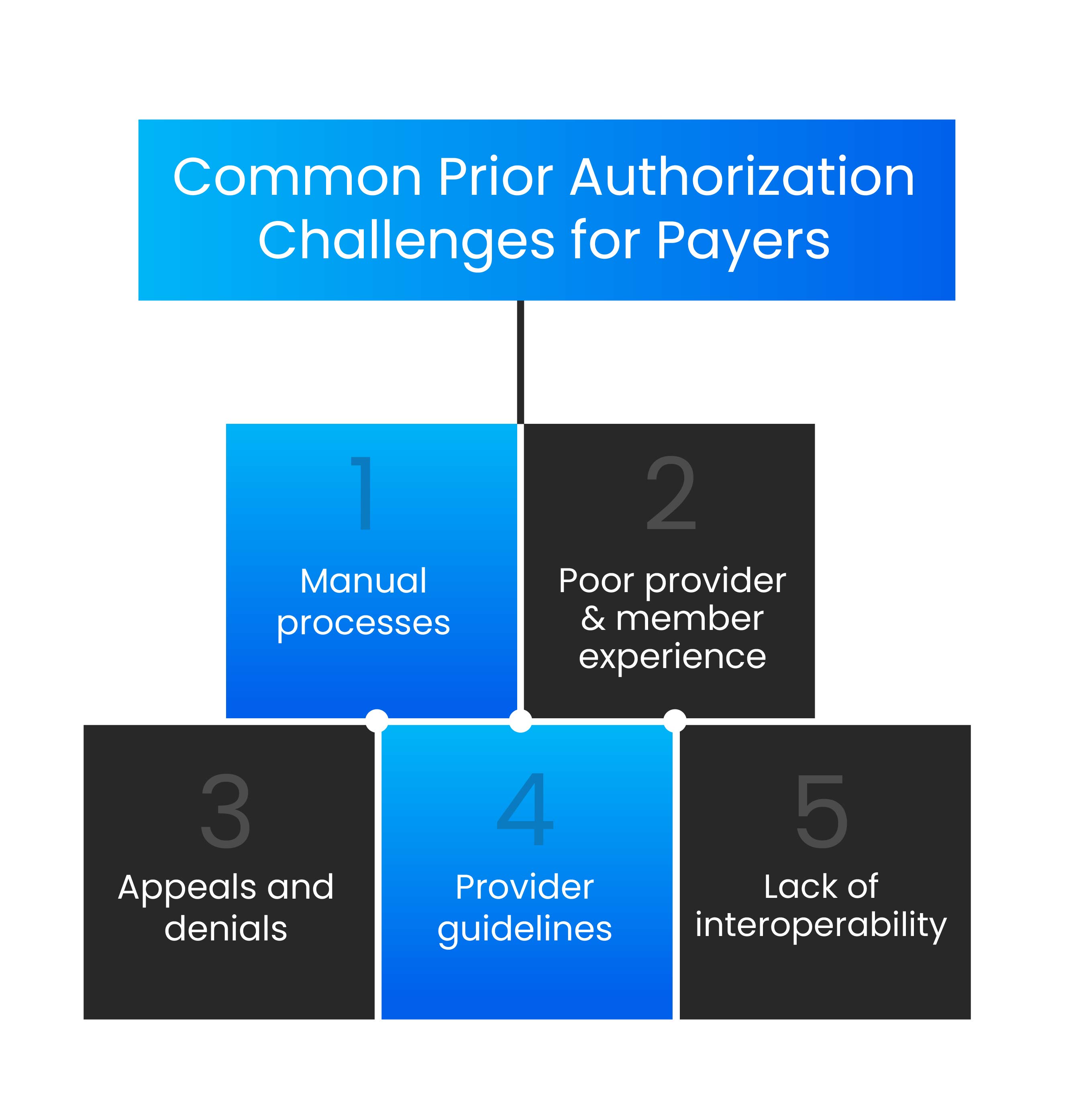Unlocking Prior Authorization Secrets Navigating Payer Systems